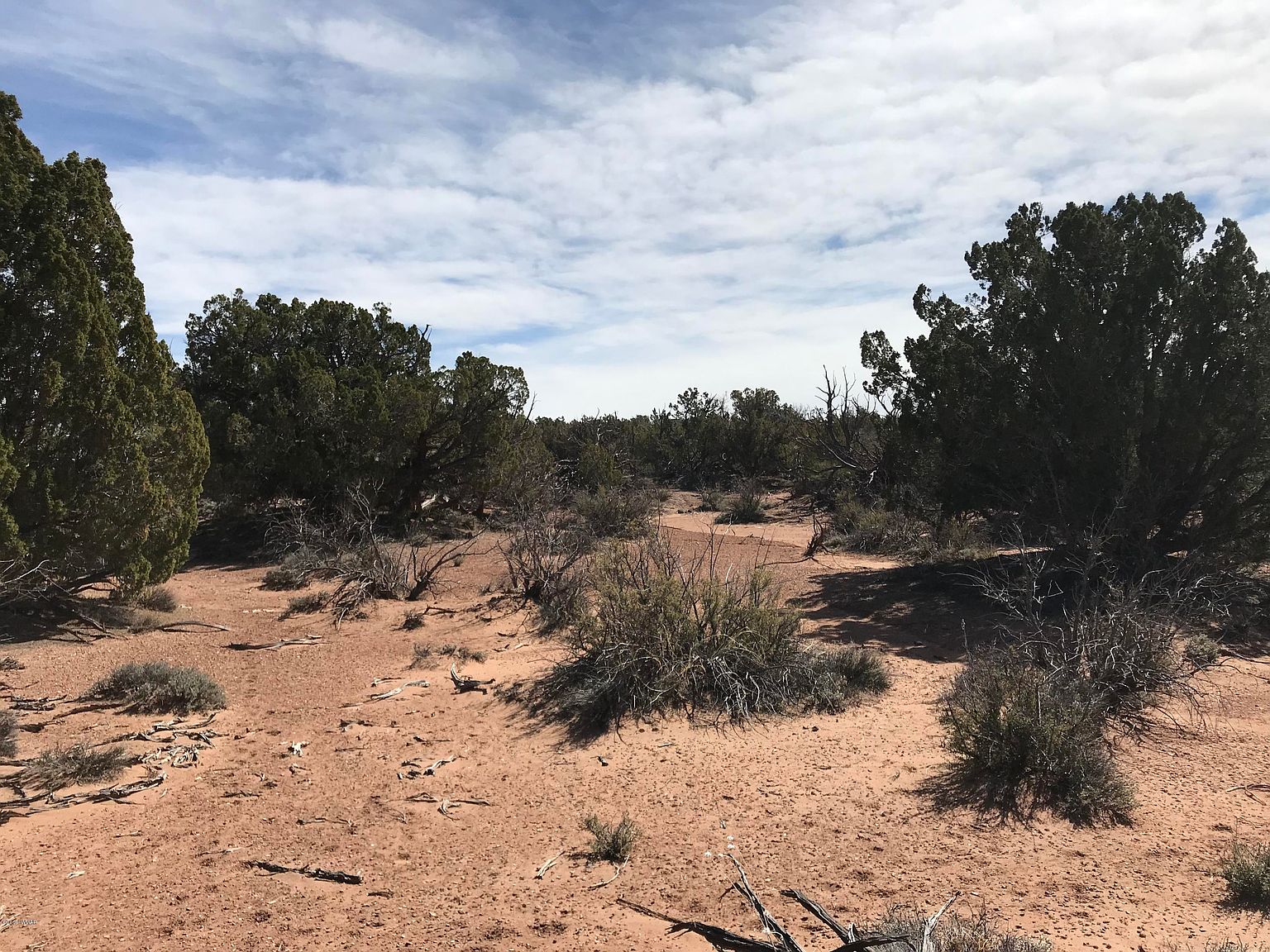 8773 Percheron Ln, Snowflake, AZ 85937 | Zillow