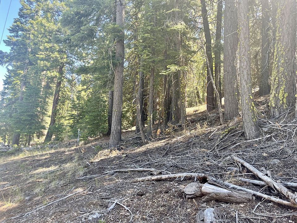 California Pines Blvd, Alturas, CA 96101 | MLS #2906203 | Zillow