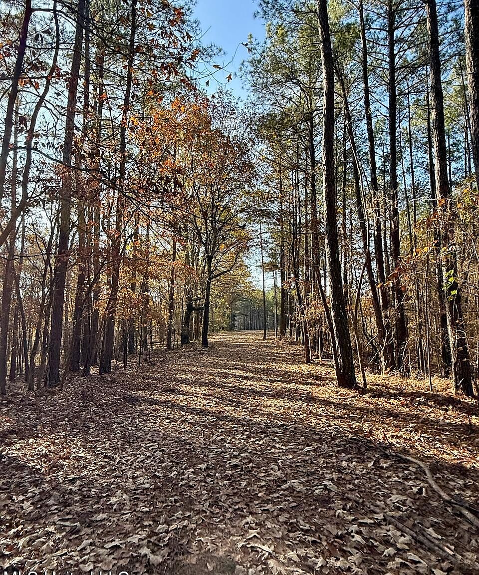 7 Mill Pond Rd, Lamar, MS 38642 | MLS #4100383 | Zillow
