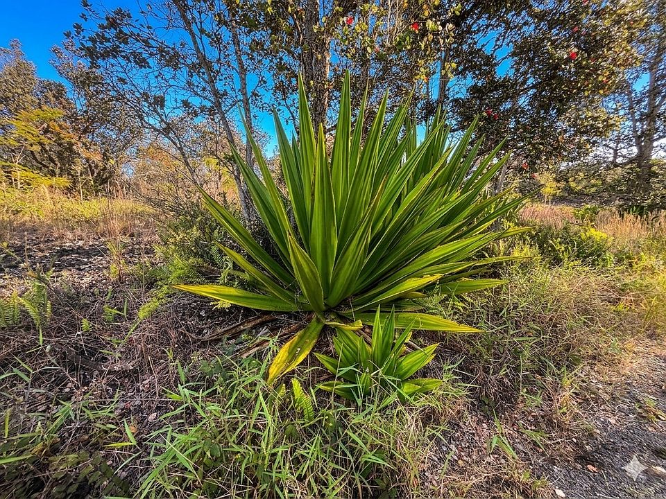 Cocoanut Dr Lot 32, Ocean View, HI 96737 | MLS #730427 | Zillow