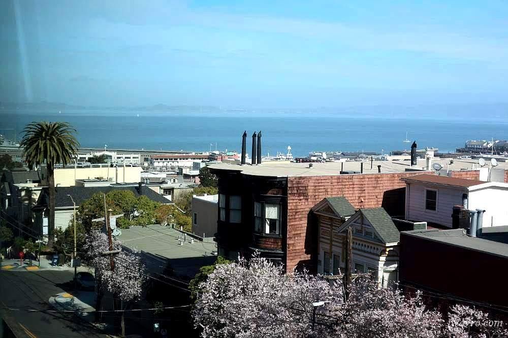 900 Chestnut St APT 202, San Francisco, CA 94109 | Zillow