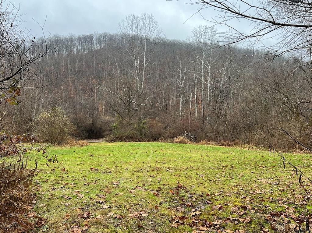 00 Arches Fork, Smithfield, WV 26437 | Zillow