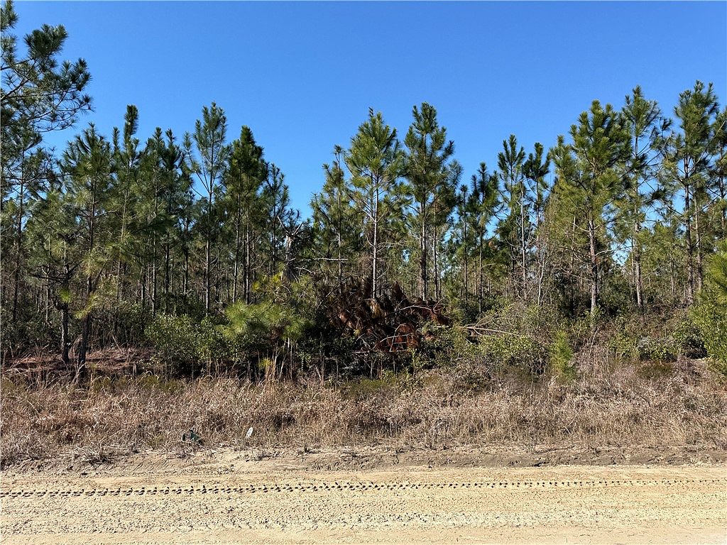 0 Elmer Thrift Rd, Waycross, GA 31503 | Zillow