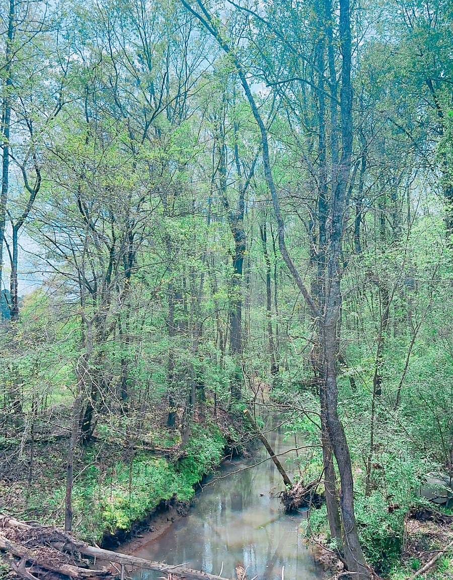 0 Pat Luckett Rd, Canton, MS 39046 | MLS #11467388 | Zillow