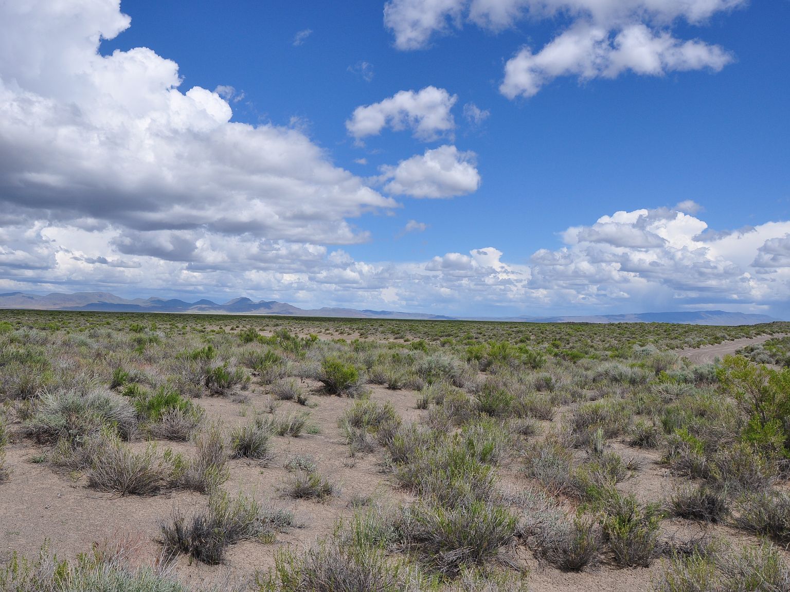 0001 Red House Rd, Red House, NV 89414 | Zillow