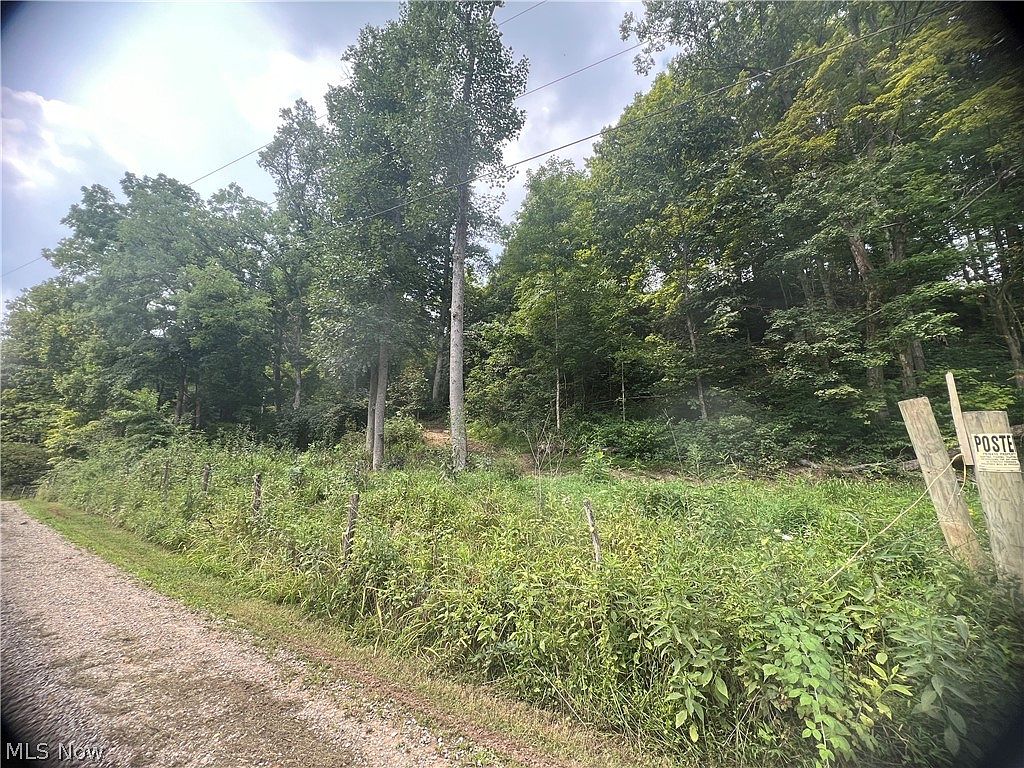E & W Side Trl #149, Long Bottom, OH 45743 | Zillow