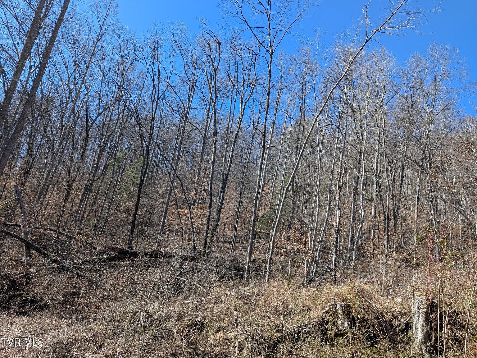 Tbd Mabe Stanleytown Rd, Duffield, VA 24244 | MLS #9976075 | Zillow