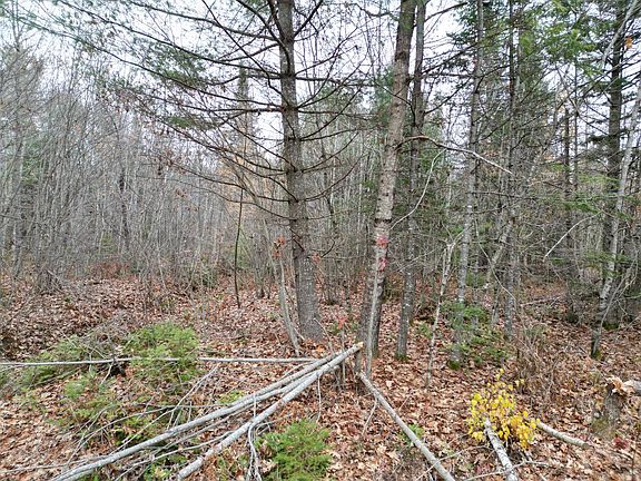 Lot 1 Stevens Brook Lane, Greenbush, ME 04418 | MLS #1608704 | Zillow