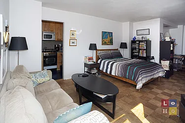 413 Grand Street #F1602 in Lower East Side, Manhattan | StreetEasy