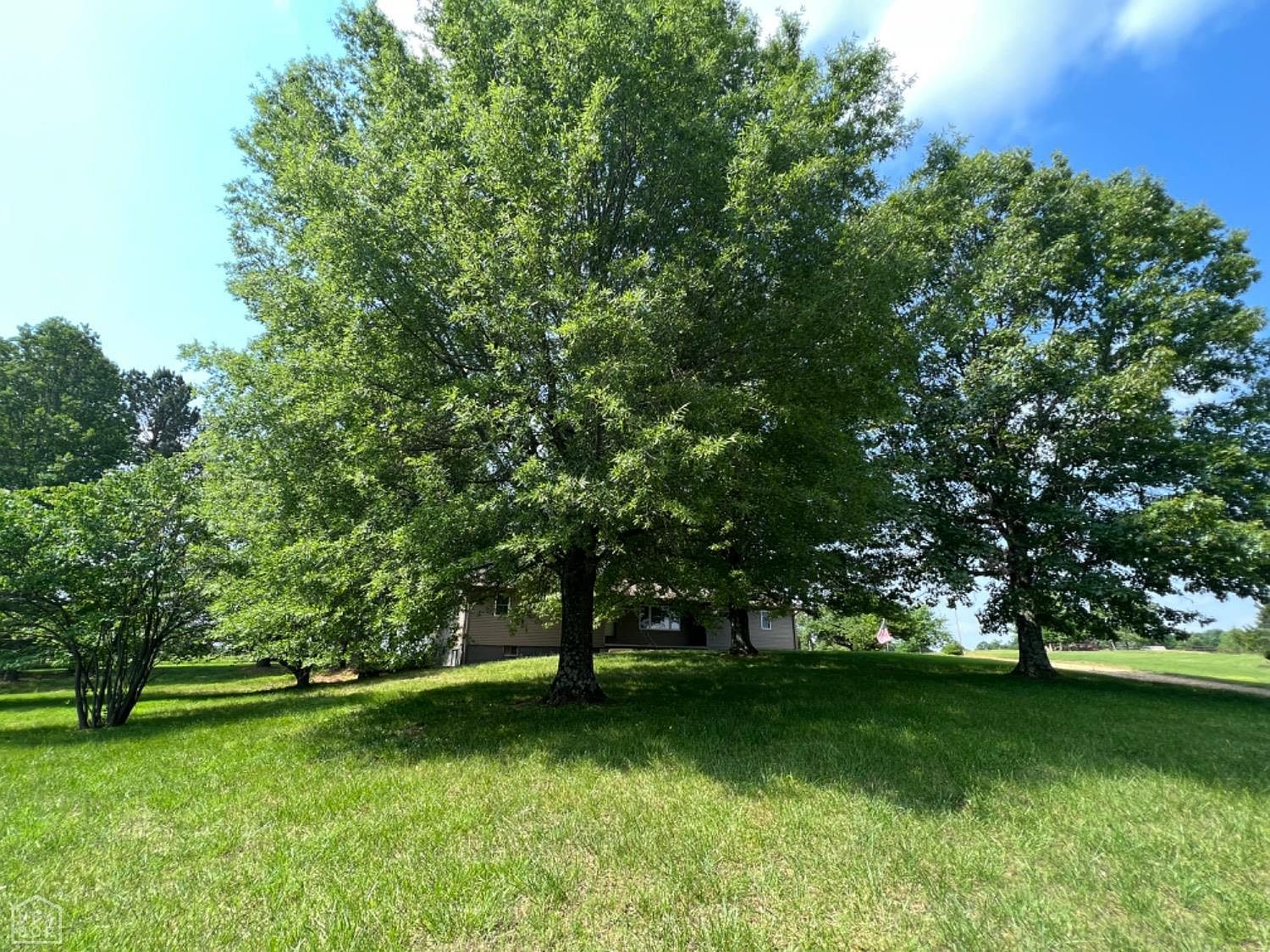 1224 Greene Rd #507, Lafe, AR 72436 | Zillow