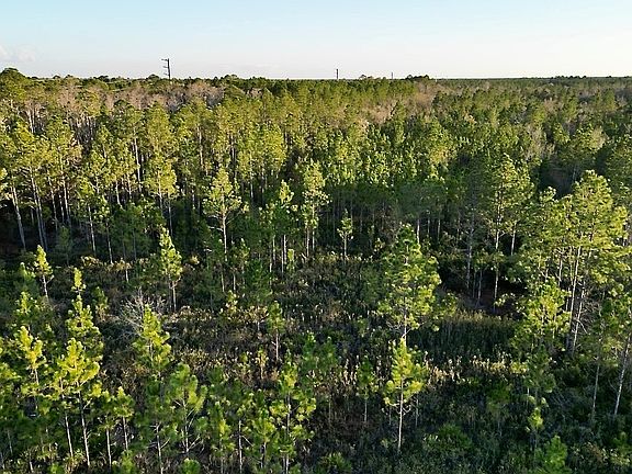 Vac Ne Campbell Rd, Bronson, FL 32621 | Zillow