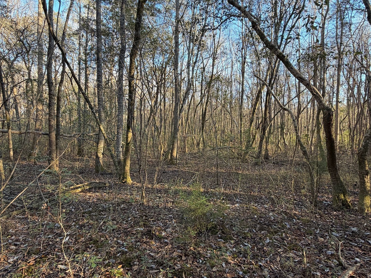 13990 State Highway 27, Lumpkin, GA 31815 | Zillow