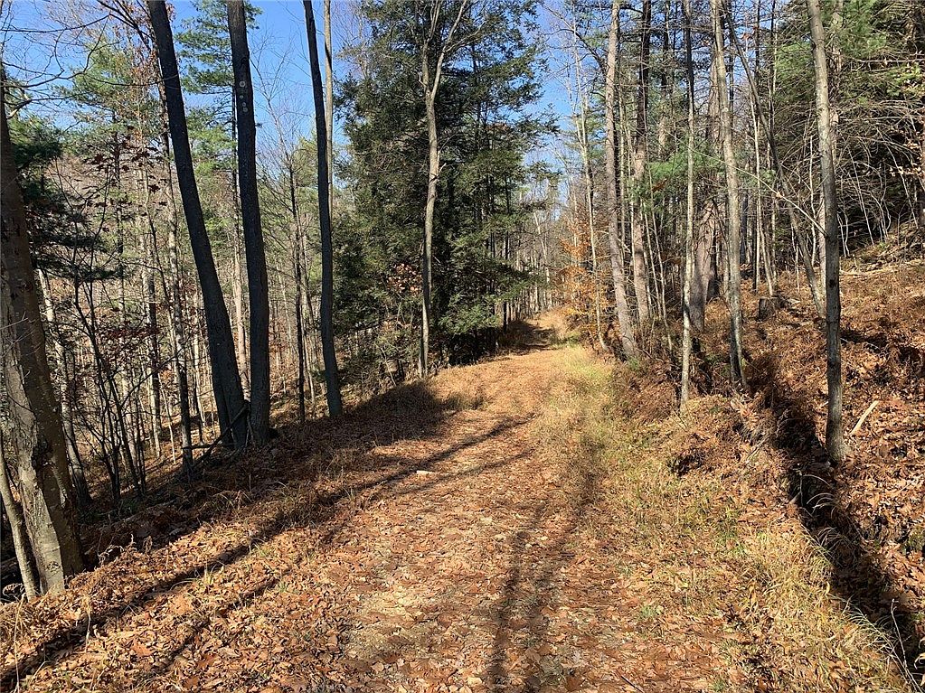 18-11468 Red Brush Rd, Tionesta, PA 16353 | Zillow