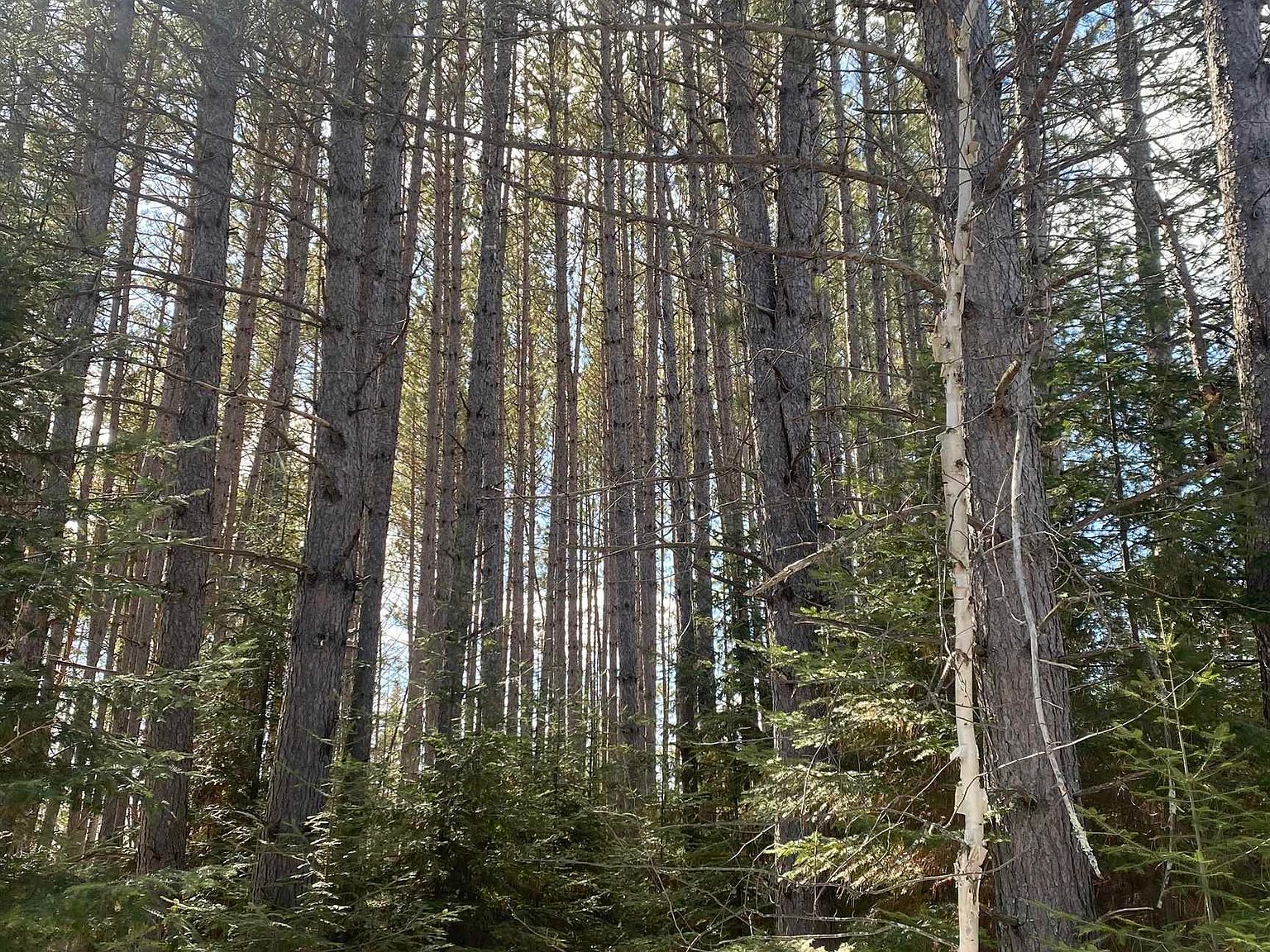 Highway 83, Forbes, MN 55738 | Zillow