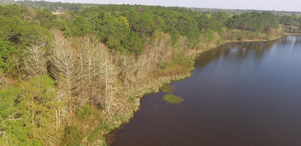 LOT 31 Lakeshore Rd PARCEL 1030-032, Pelham, GA 31779 | MLS #921390 ...