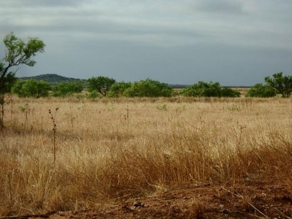 1 County Road 121, Flomot, TX 79234 | MLS #202316126 | Zillow