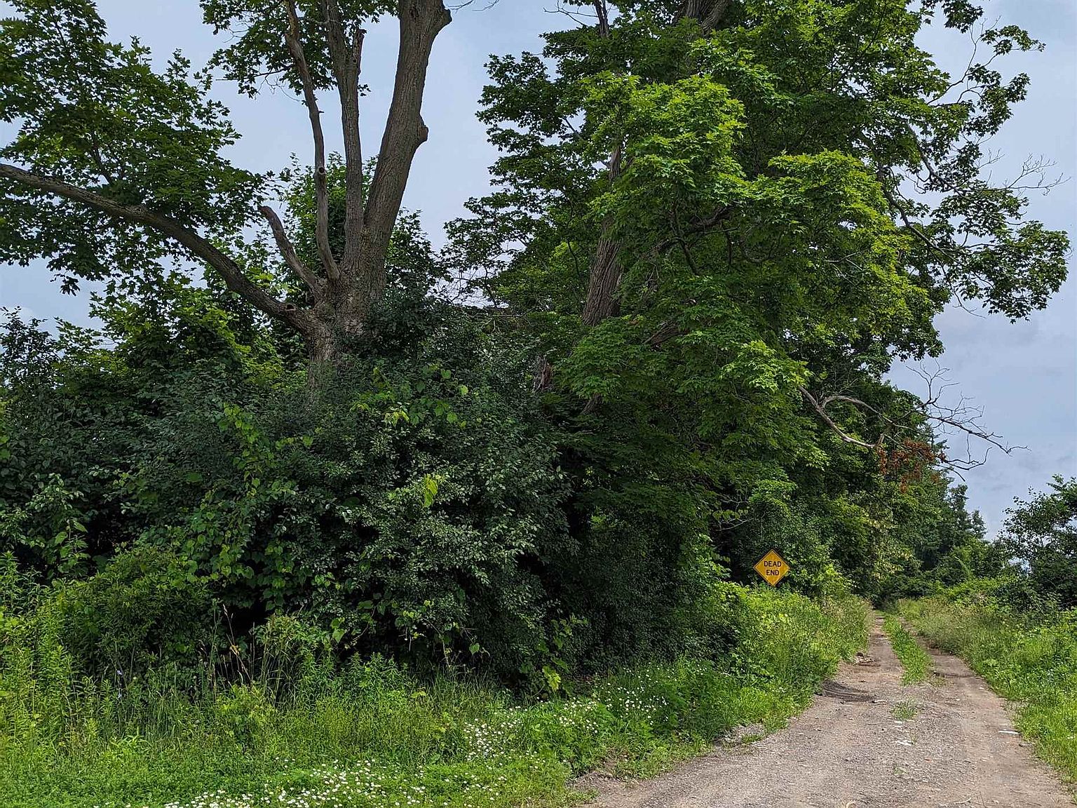 Maple Island Rd, Lisbon, NY 13658 | MLS #48598 | Zillow