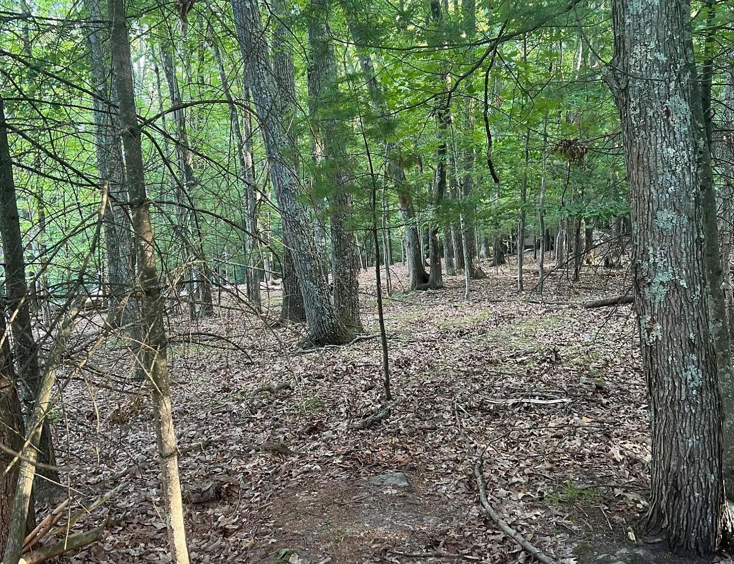 20 Pine St, Lakeville, PA 18438 | MLS #223153 | Zillow