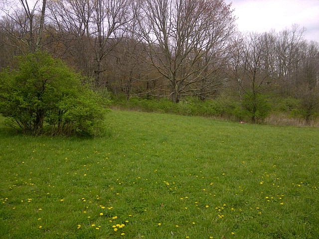 Bennington Rd, Cool Ridge, WV 25825 | Zillow