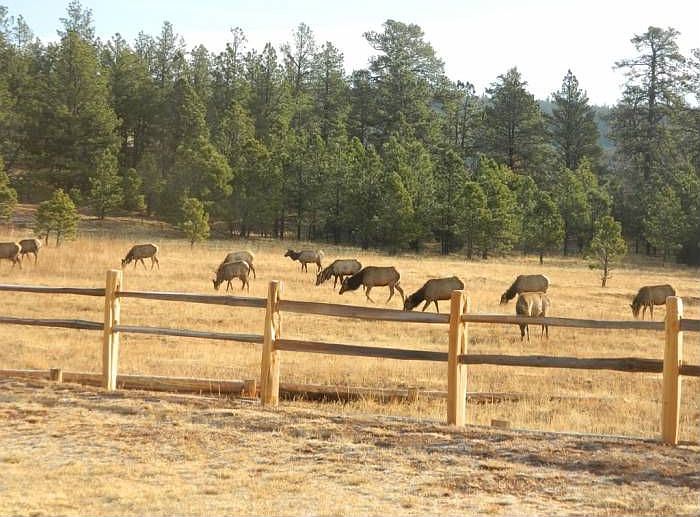 16A Hc 70, Ocate, NM 87734 | Zillow