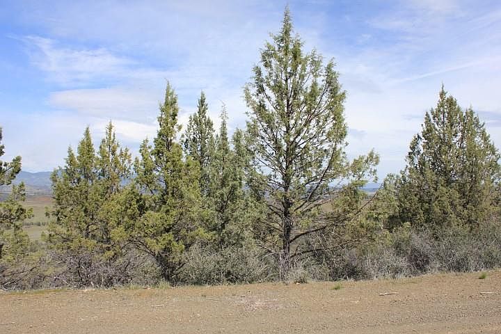 0 Erick Ln, Hornbrook, CA 96044 | Zillow