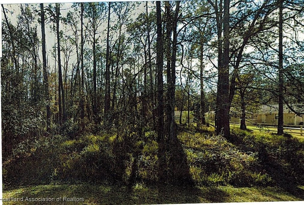 LOT 29 Deedra Dr LOT 29, Wesley Chapel, FL 33544 | Zillow