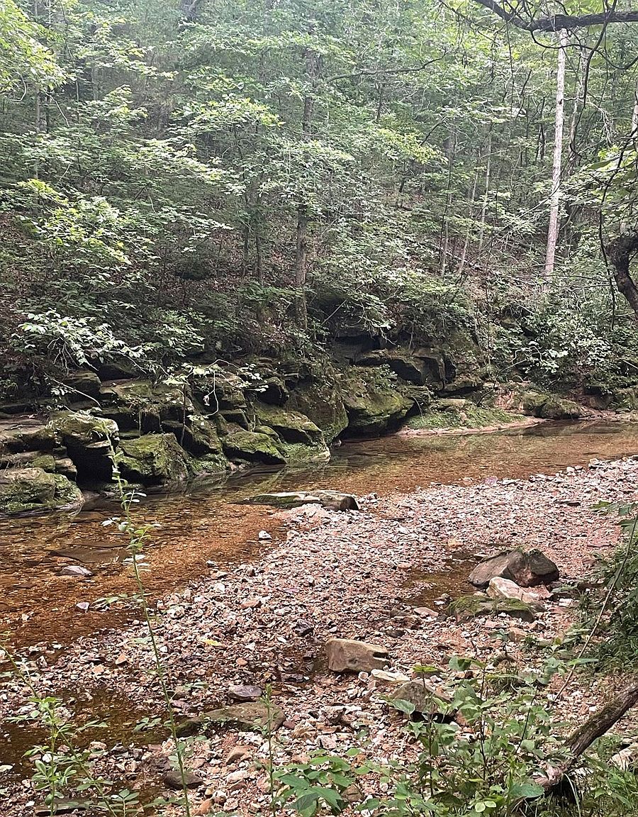 16697 E Highway 14, Ava, MO 65608 | MLS #24043-66180 | Zillow