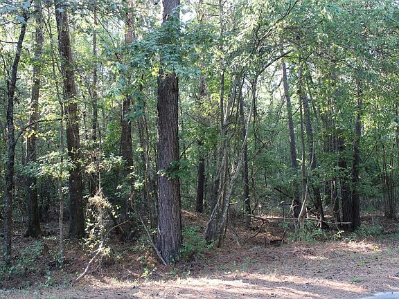 0 Peachtree Rd, Dubberly, LA 71024 | MLS #20434145 | Zillow