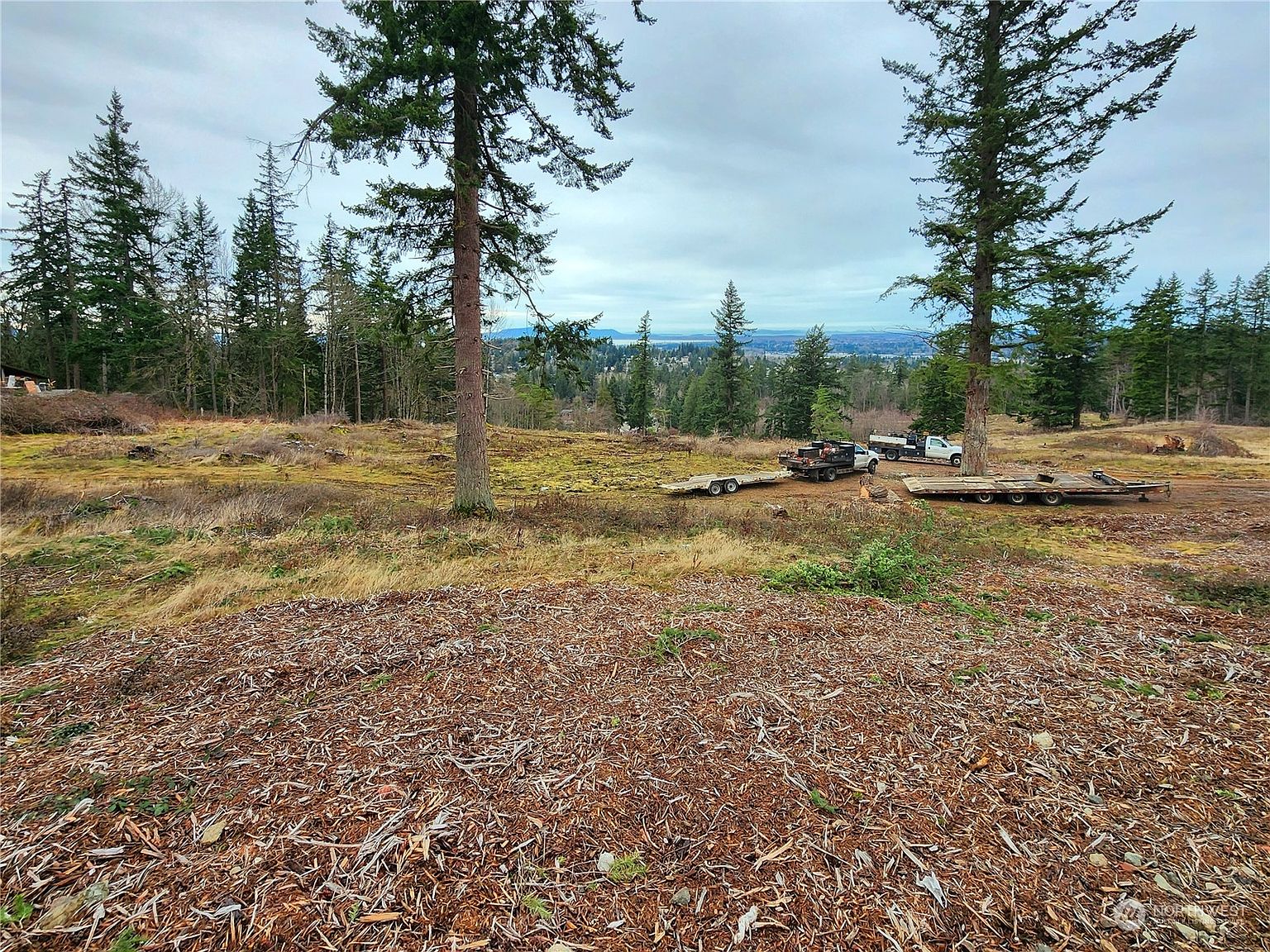3941 A Toad Lake Rd UNIT A, Bellingham, WA 98226 | Zillow