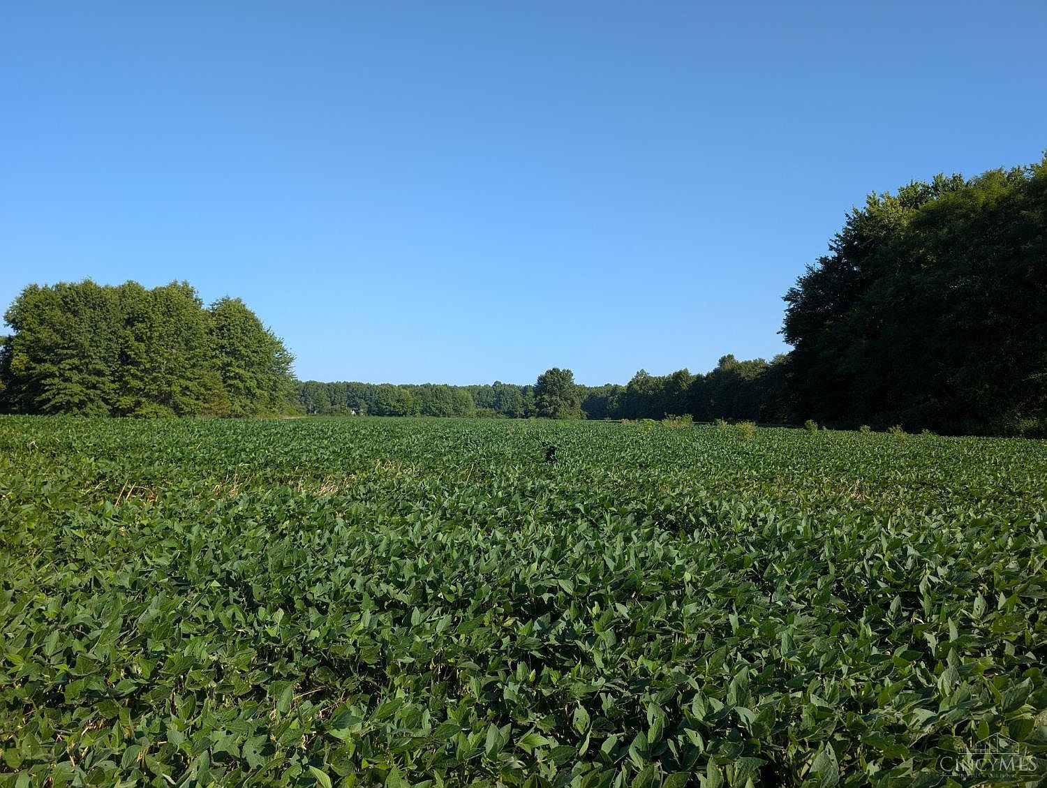 20 State Route 774, Hamersville, OH 45130 | MLS #1843123 | Zillow