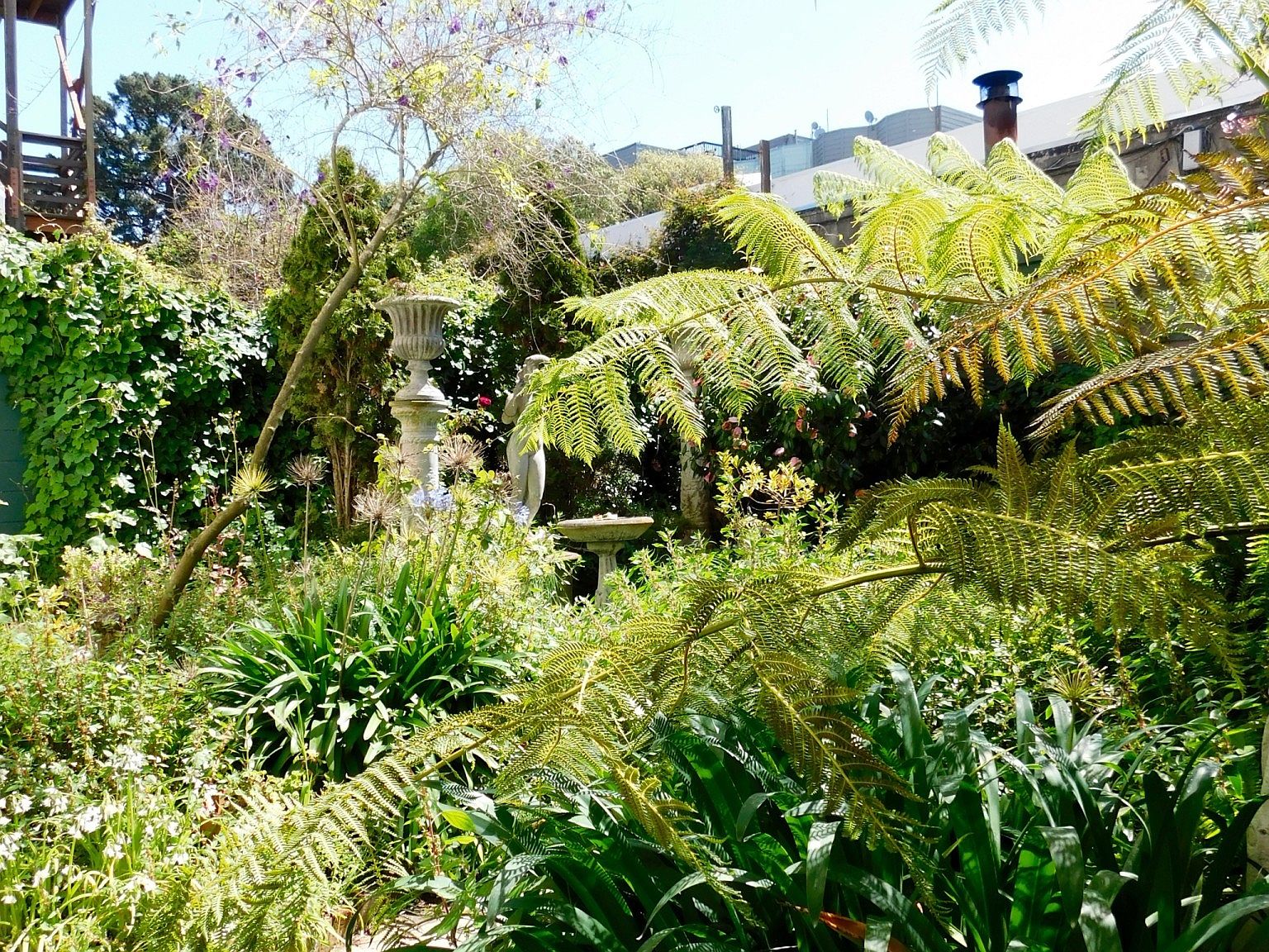 85 Carl St APT 1, San Francisco, CA 94117 | Zillow