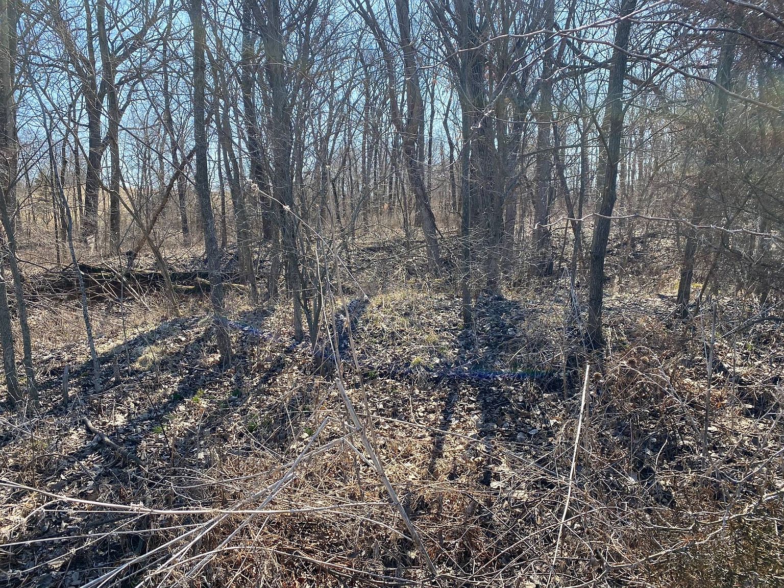 Drake Ave, Coffey, MO 64636 | Zillow