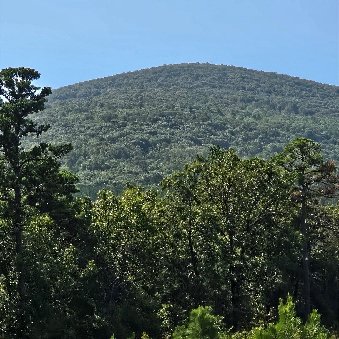 Rural Rte, Monroe, OK 74947 | MLS #2429705 | Zillow