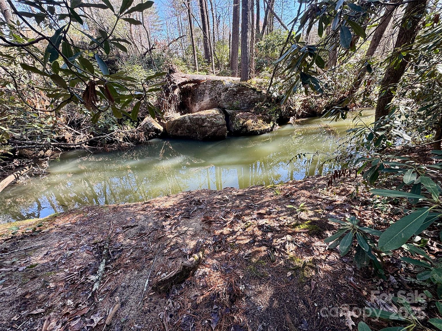 45 S Stones Lake Rd, Cedar Mountain, NC 28718 | MLS #4238578 | Zillow