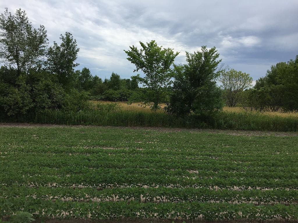 142XX Fairbanks, Lonsdale, MN 55046 | Zillow