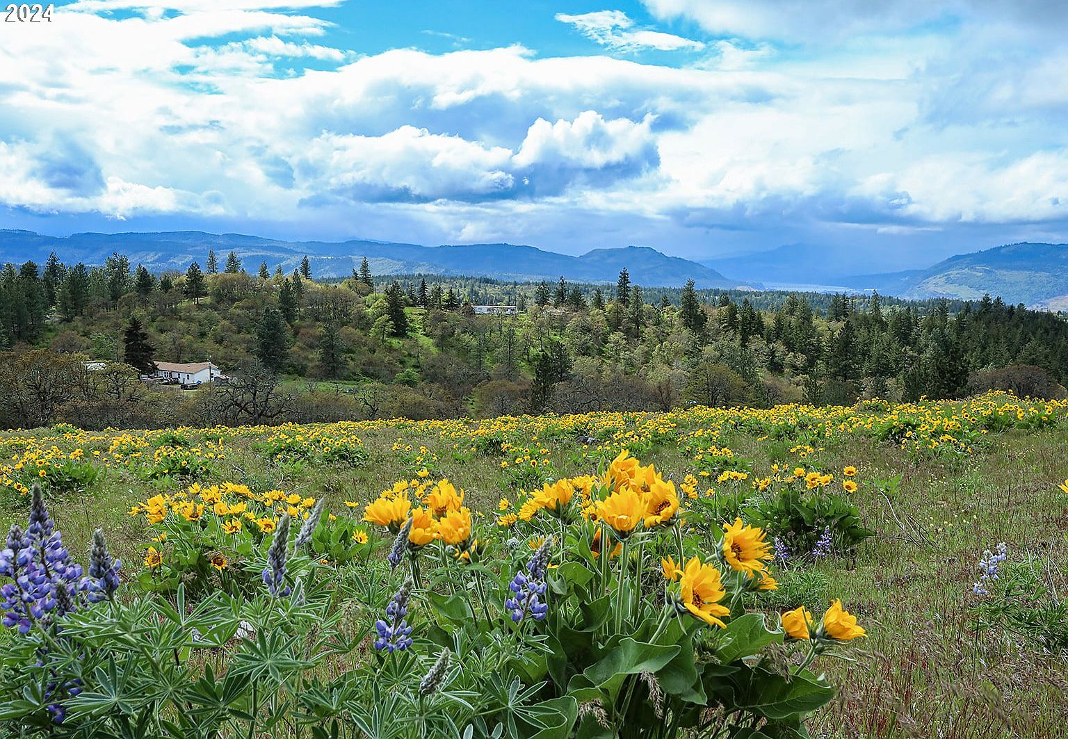 Martin Rd, Mosier, OR 97040 | Zillow