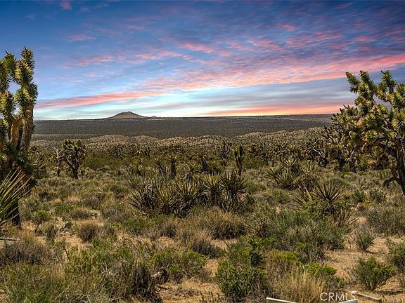 98202 Old Cima Ranch Rd, Cima, CA 92323 | MLS #PF24243940 | Zillow