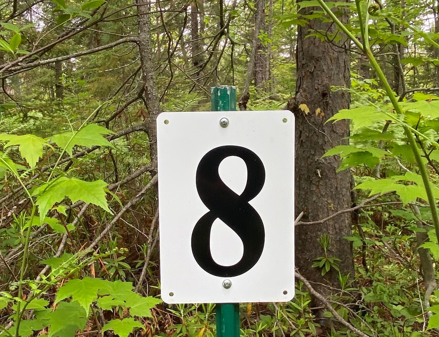 14599 N Whitefish Point Rd, Paradise, MI 49768 | MLS #24-133 | Zillow