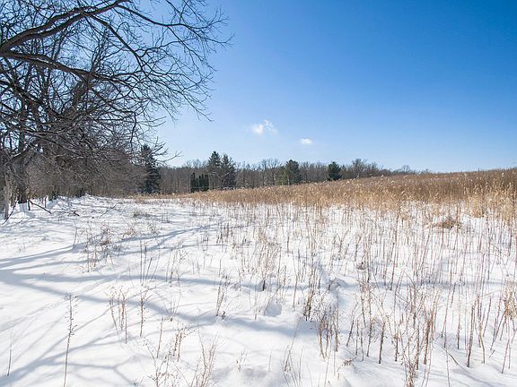 0 Madron Lake Rd, Buchanan, MI 49107 | Zillow