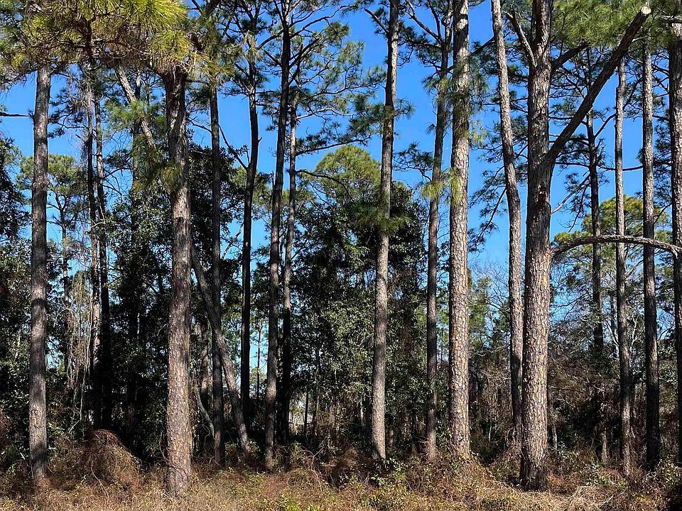 16th E A Ave, Gulf Shores, AL 36542 | Zillow