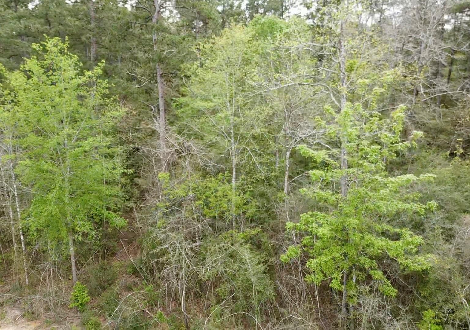 15369 Red Hawk Rd, Willis, TX 77378 | MLS #25453239 | Zillow