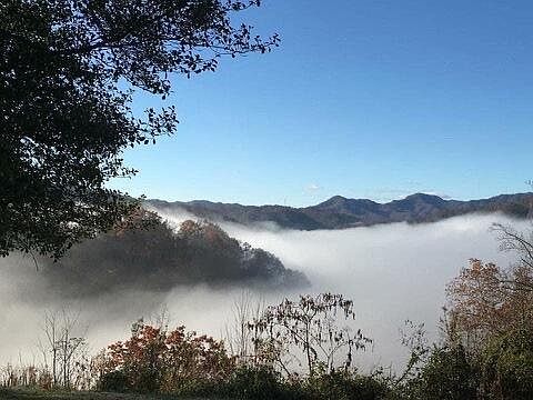 300 Hillside Dr, Baxter, KY 40806 | MLS #22025805 | Zillow