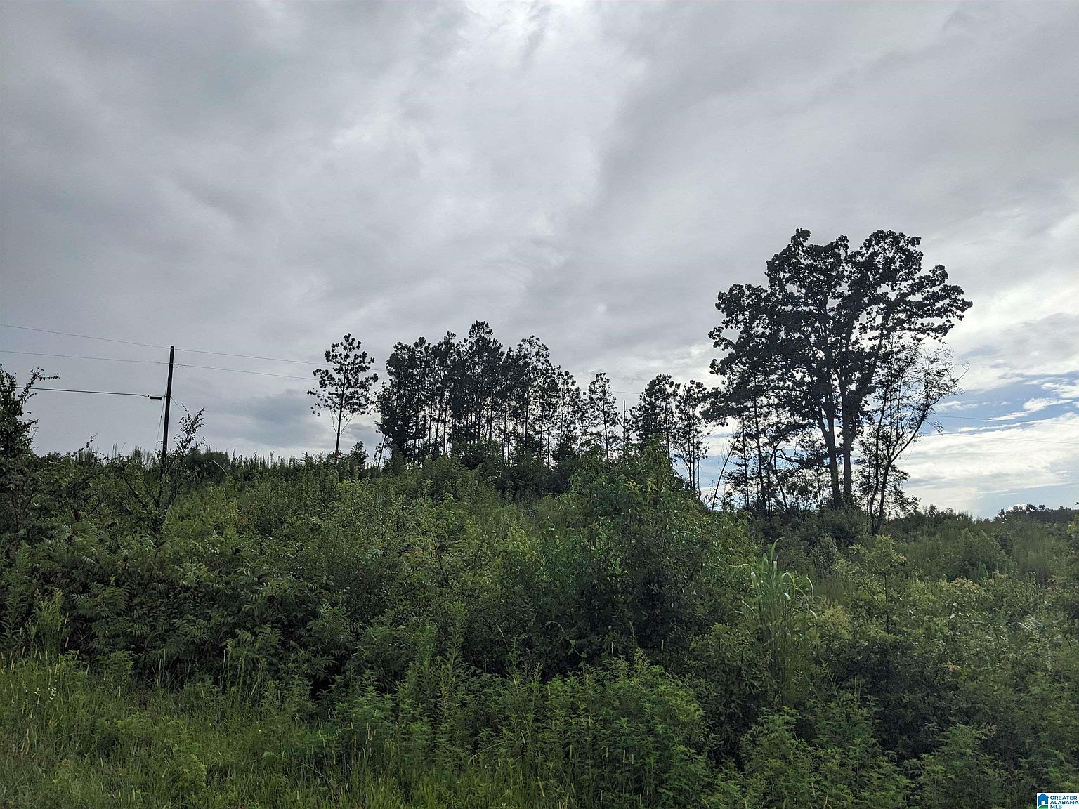 0 Vaughn Rd #0, Trafford, AL 35172 | Zillow