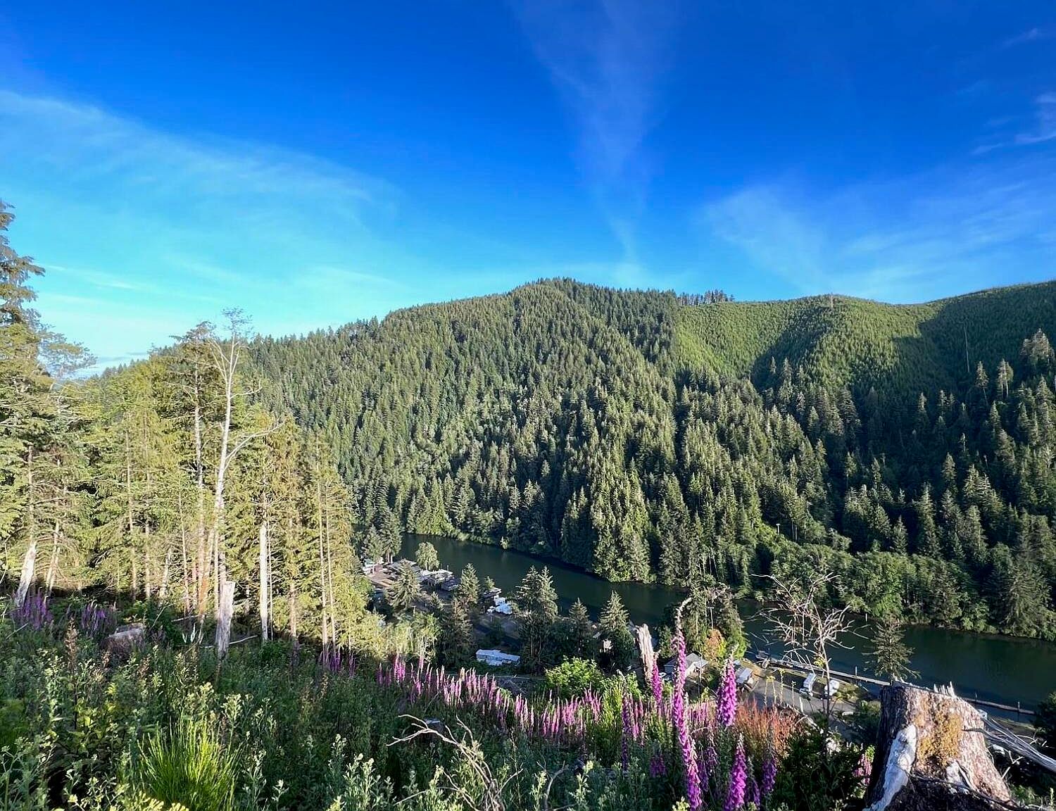 2369C Siletz Hwy, Siletz, OR 97380 | MLS #23-1228 | Zillow