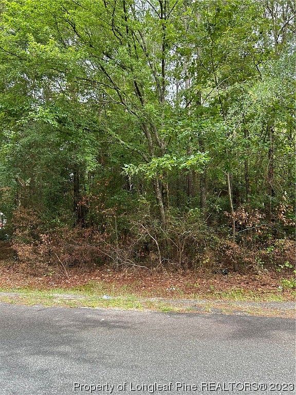 1890 Gumberry Ct, Hope Mills, NC 28348 | Zillow