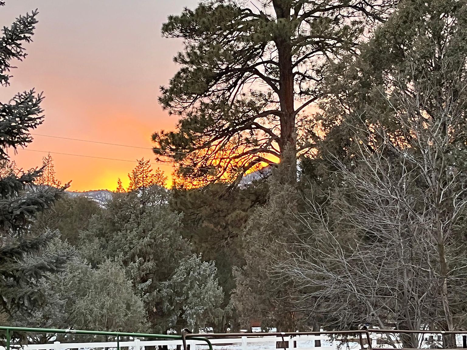 (Undisclosed Address), Durango, CO 81301 | Zillow