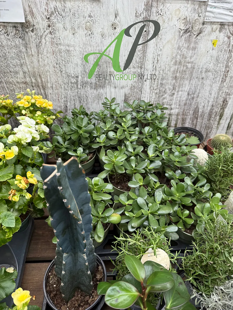 64 Bainbridge St Apt GARDEN, Brooklyn, NY 11233 | HotPads