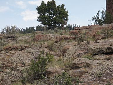 Vacant Land - Forbes Wagon Creek Ranches, Fort Garland, CO 81133 | Zillow