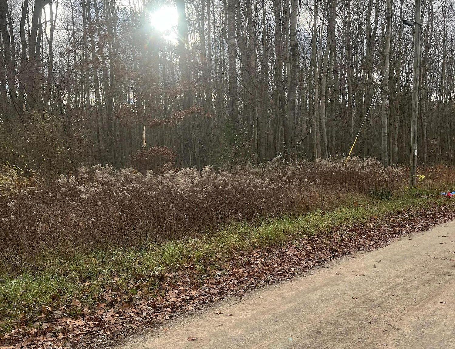 3 E Pakes Rd, Stanton, MI 48888 | MLS #24059052 | Zillow