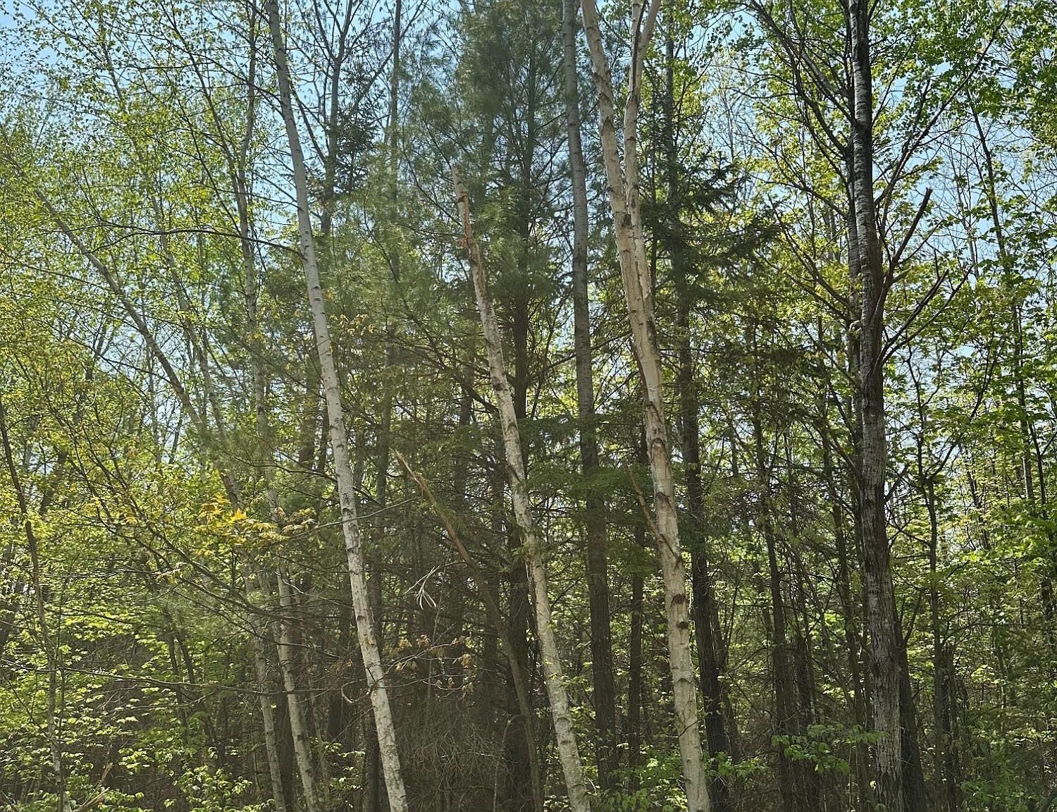 Burrows Lake Rd LOT 11, Tomahawk, WI 54487 | MLS #212798 | Zillow